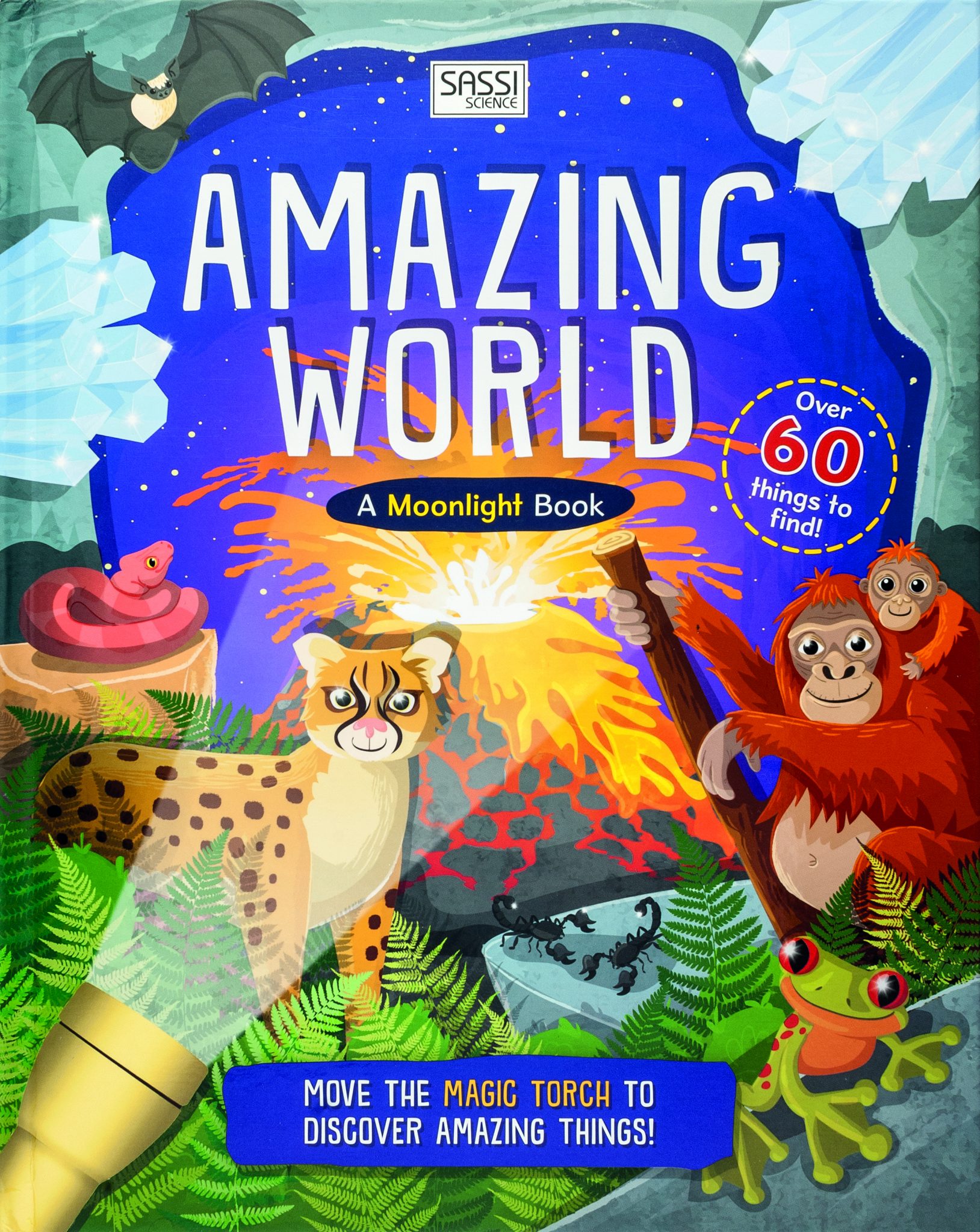 Amazing world - iseek